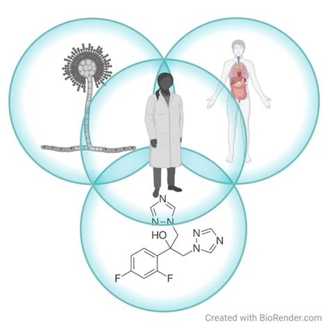 Jof Free Full Text The Multifaceted Role Of Mating Type Of The Fungus And Sex Of The Host In