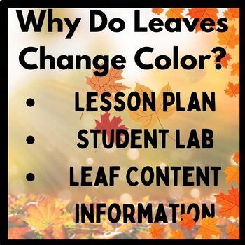 Fall Science Lab The Colorful Mystery Of Leaves Lab Questions Middle High