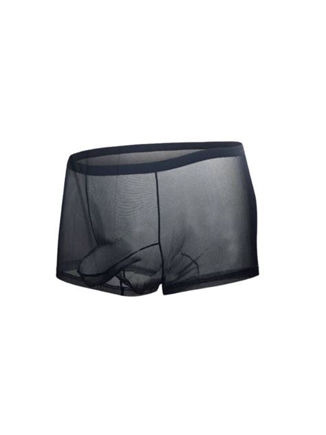 Sheer Sleeve Trunk Sexy Curves