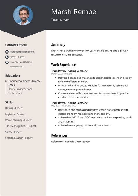Truck Driver Cv Examples Template And 20 Tips
