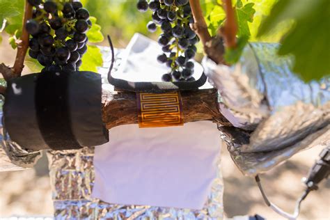 Fruition Sciences White Papers On Precision Viticulture