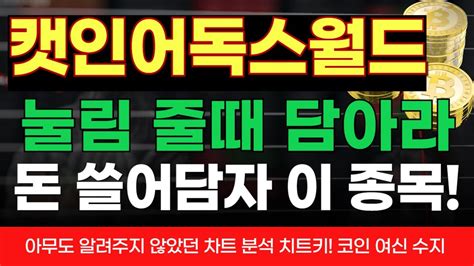 캣인어독스월드 긴급 호재 떴다 확인 필수 Youtube