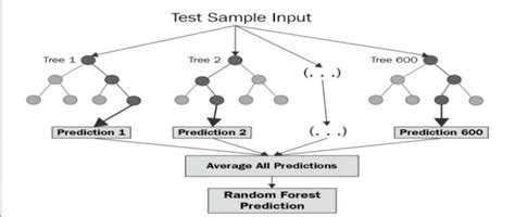 random forest decision tree download scientific diagram