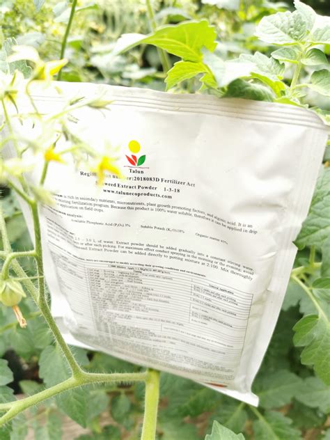 Ascophyllum Nodosum Seaweed Extract Powder Asp 100g 500g 1kg And 25kg Talun Eco Products