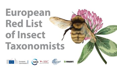 Experts In Insect Taxonomy Threatened By Extinction” Reveals The First