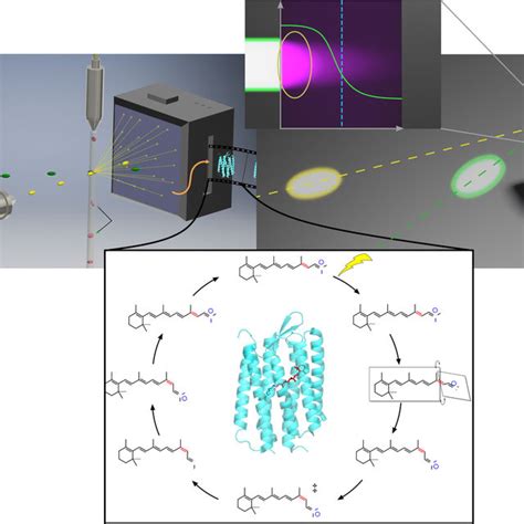 Making Molecular Movies And Excitation Considerations A Time Resolved Download Scientific