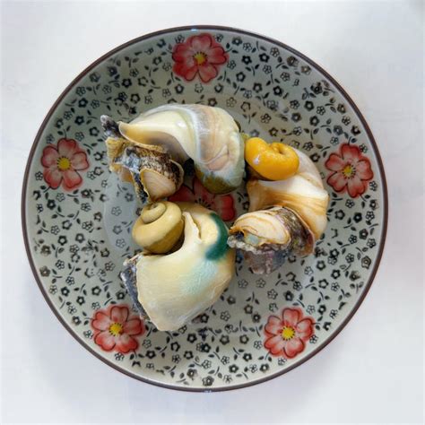 【煮海螺的做法步骤图，煮海螺怎么做好吃】吃货懒羊羊89下厨房