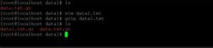 Linux Zcat How Linux Zcat Command Works With Programming Examples
