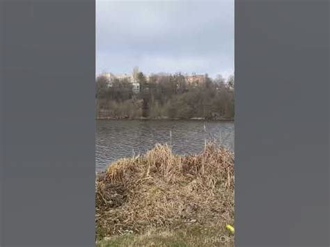 Буг - YouTube