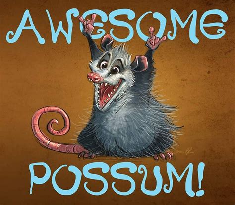 Its An Awesome Possum Kind Of Day Awesomepossum Awesome Possum