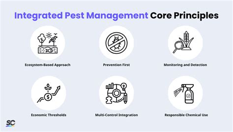 Integrated Pest Management A Guide Safetyculture