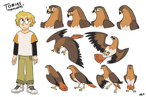 Tobias Model Sheet Animorphs By Velocira On Deviantart