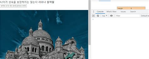 vanilla js로 크롬 앱 만들기 to do list