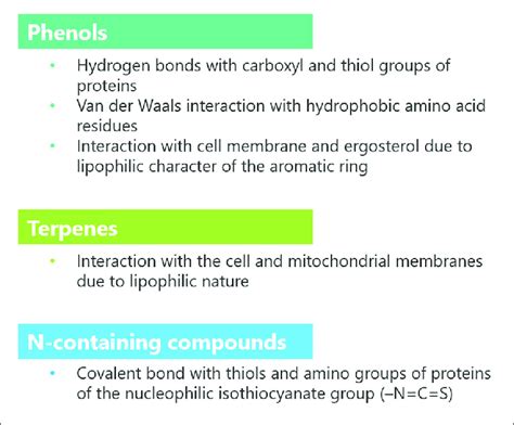 Functional Groups And Mode Of Action Of Bioactive Compounds