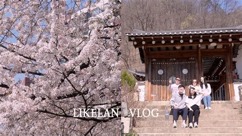 임신vlog 친정 식구들과 강원도 태교 여행👼🏻💗 걷고 먹고 웃고 별 보고 사십년 전 아부지 연애담도 듣고⭐️ Youtube