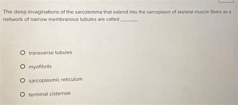 Solved The Deep Invaginations Of The Sarcolemma That Extend