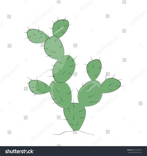 Prickly Pear Cactus Vector Simple Hand Stock Vector Royalty Free Shutterstock