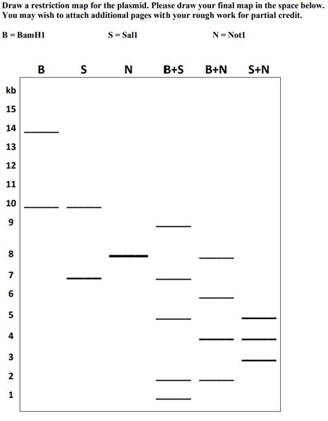 Solved Draw A Restriction Map For The Plasmid Please Draw Chegg Com