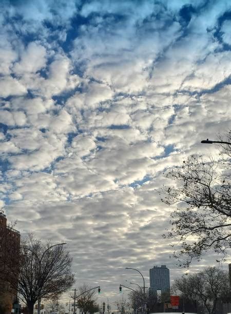 80 Houston Street Foto Foto Foto Stok Potret And Gambar Bebas Royalti Istock