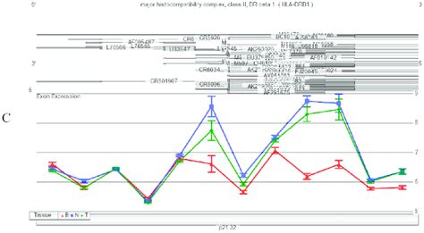 Exon Microarray Comparison Of Expression Across Brain Samples B Download Scientific Diagram