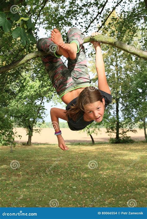 Peu D Enfant Fille Accrochant Sur La Branche Photo Stock Image Du