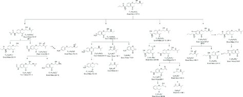 fragmentation pathway of dp i iv download scientific diagram
