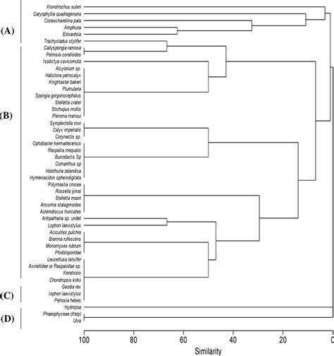 Cluster Analysis Clustering Of Samples Shows Four Species Assemblages Download Scientific