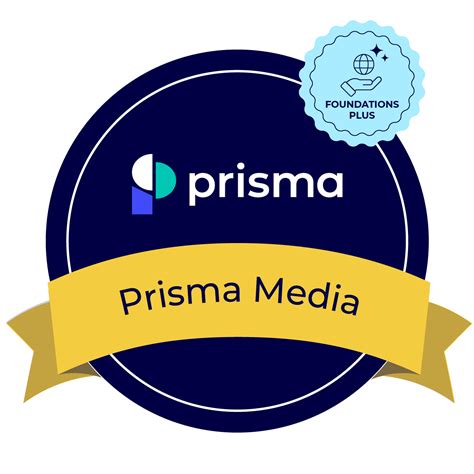 Prisma Media: Google DV360 Foundations Plus - Credly