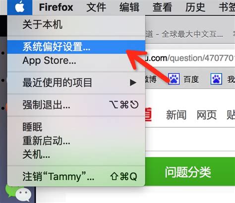 mac中默认输入法的设置 soo smart