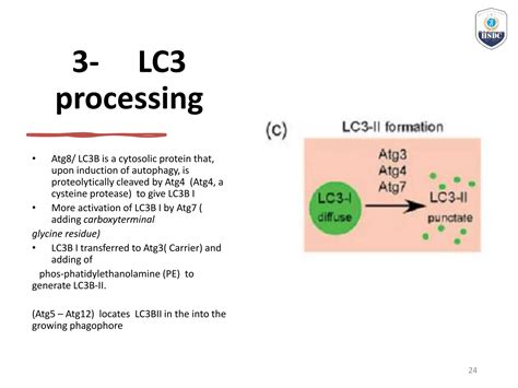 Autophagy Lecture From Hno Skill Development Centre Ppt