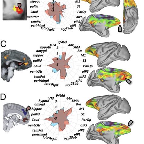 Macaque Medial Frontal Regions Left Associated With A Positive