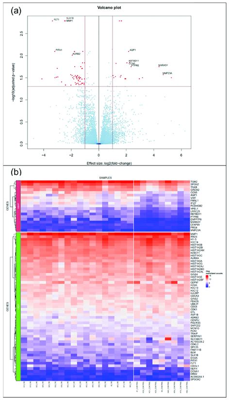 Rna Seq Deseq2 Analysis Revealed 74 Differentially Regulated Genes Download Scientific