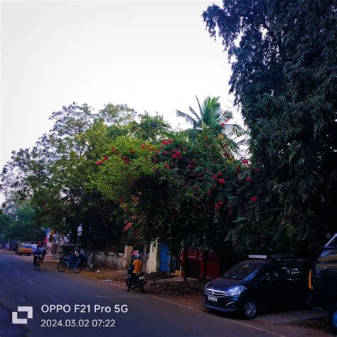 Sarvesh S Posted On Linkedin