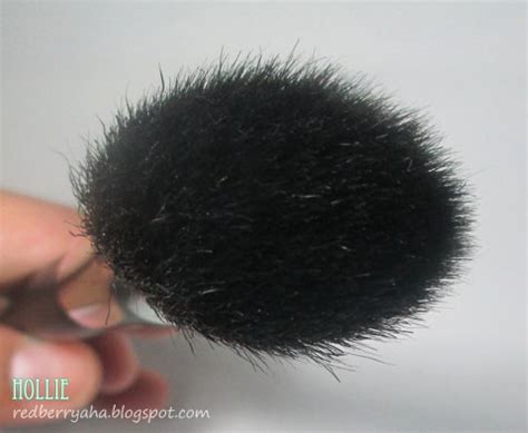Random Beauty By Hollie Mary Kay Cheek Brush Review
