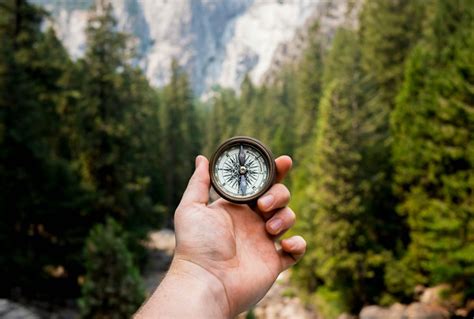 flutter navigation with go router package