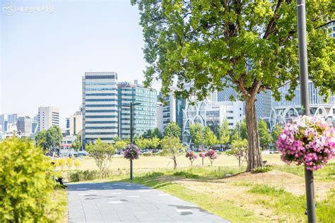 서울시 내 손안에 서울