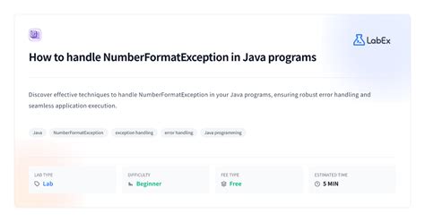 How To Handle Numberformatexception In Java Programs Labex