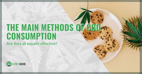 Methods Of Cbd Consumption Are They All Equally Effective