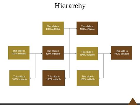 Hierarchy Ppt Powerpoint Presentation Example File