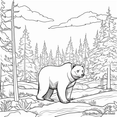 Black Bear Coloring Pages Free And Printable