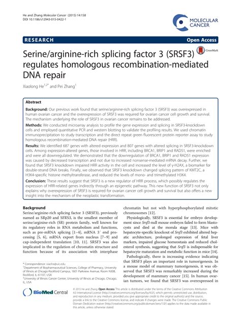 Pdf Serine Arginine Rich Splicing Factor 3 Srsf3 Regulates Homologous Recombination Mediated