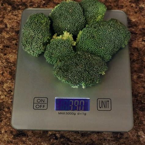 30 Types Of Scales For Weighing People And Things In Your Home Homeporio