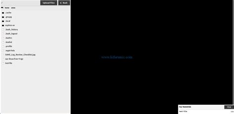 How To Enable Rdpssh File Transfer Over Guacamole