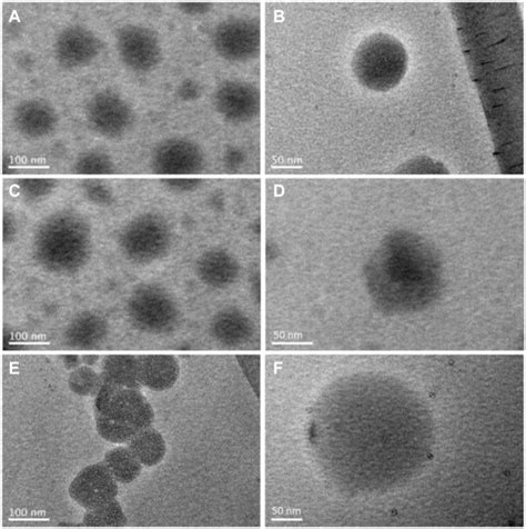 Electrospun Self Emulsifying Core Shell Nanofibers For Effective Delivery Of Paclitaxel Pmc