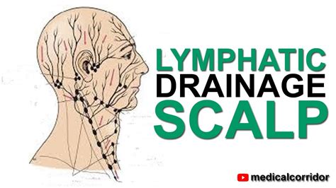 Eczema On Scalp And Swollen Lymph Nodes At William Pfeffer Blog