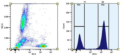 Applications Of Tbnk Antibody Kits And Newest Improvement On Current
