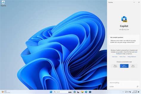 Windows 11 Version 23h2 Copilot Image To U