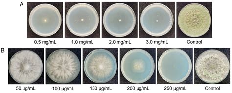 Jof Free Full Text Establishment Of A Crisprcas9 Mediated