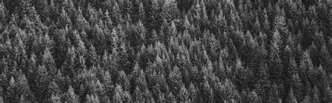 Products Apex Equipment Smart Logging