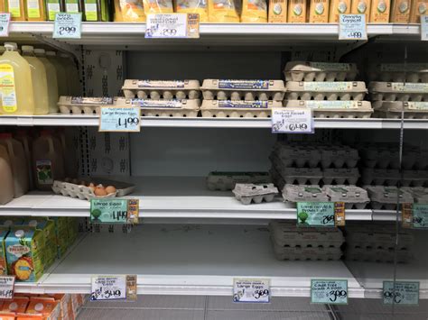 Trader Joes Eggs Shortage Update And Quality Review